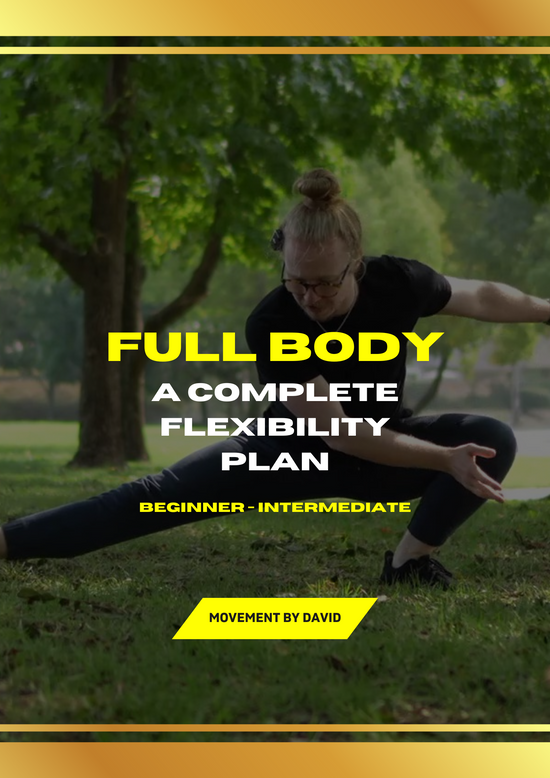 FULL BODY: A COMPLETE FLEXIBILITY PLAN – MOVEMENT BY DAVID